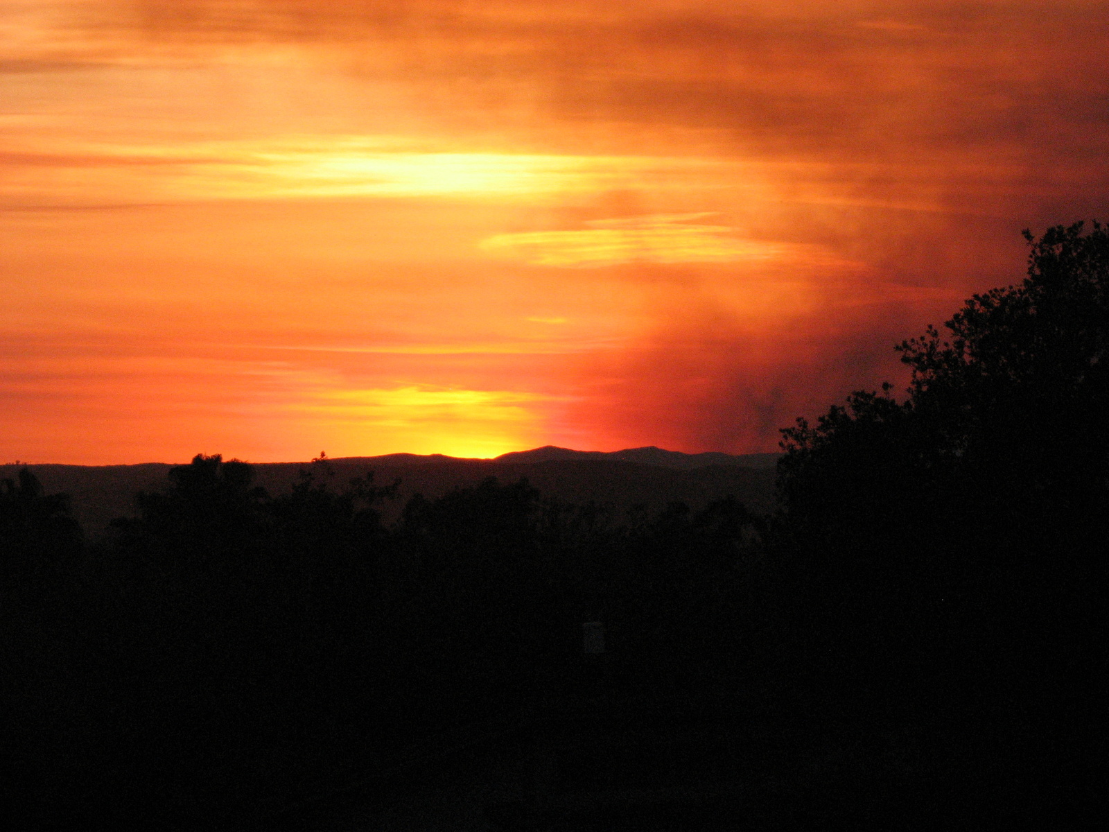 Fiery Sunset | Sage's Acre