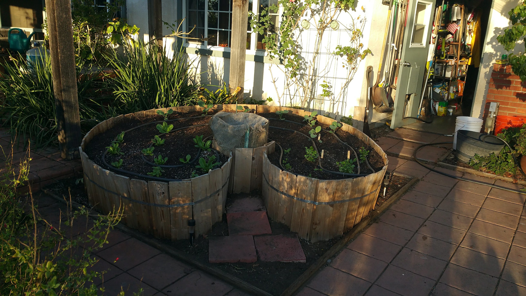 Keyhole Garden – November 24 2019 | Sage's Acre