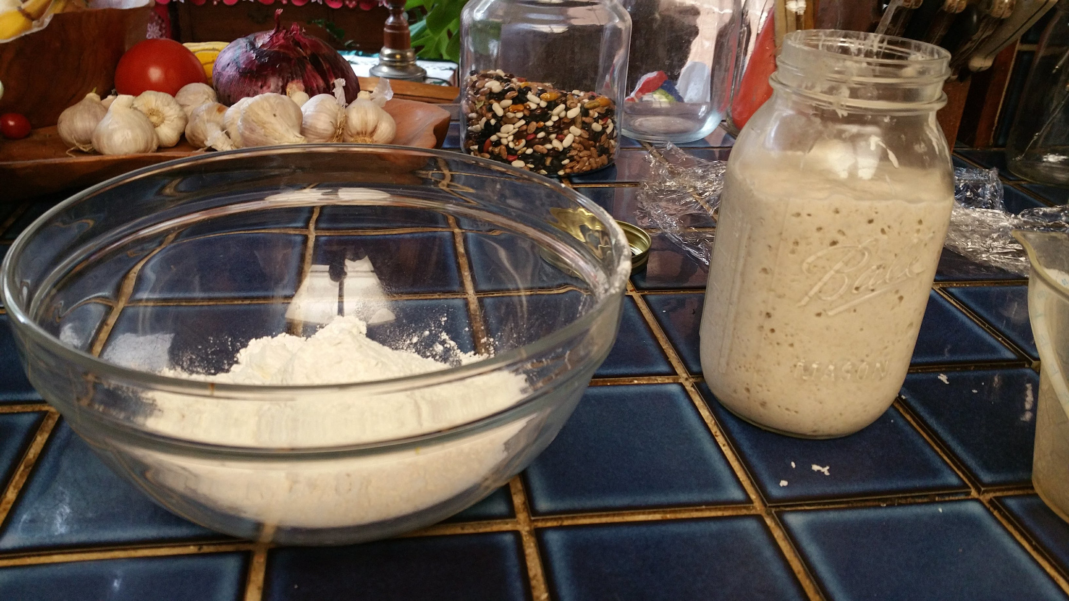 Terri's Biga Recipe | Sage's Acre