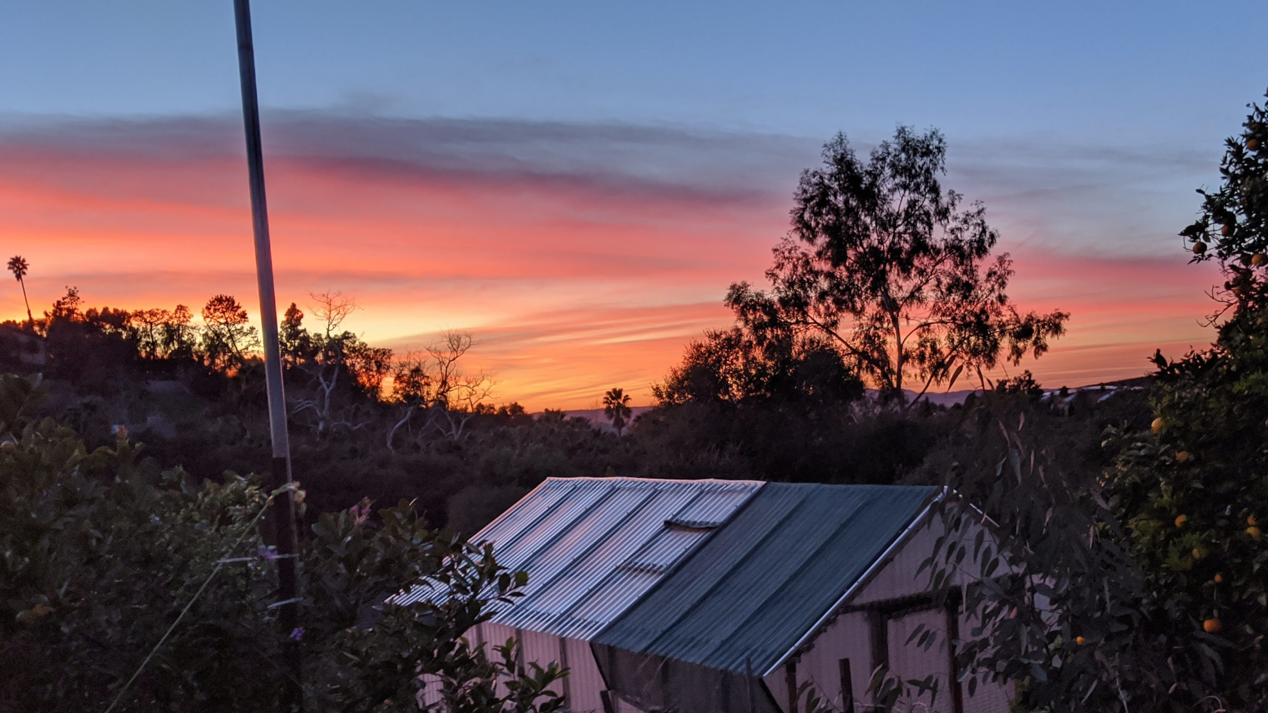 Sunset on February 4, 2020 | Sage's Acre