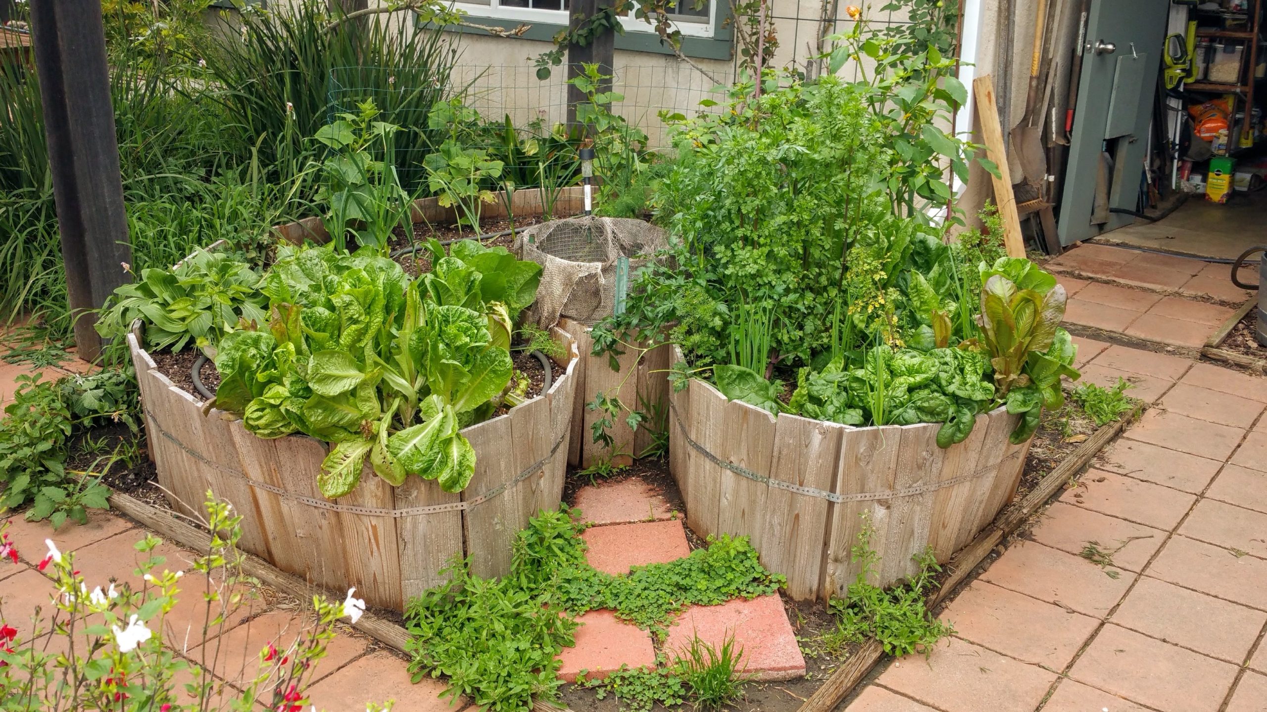 Keyhole Garden Progress – April 13, 2020 | Sage's Acre