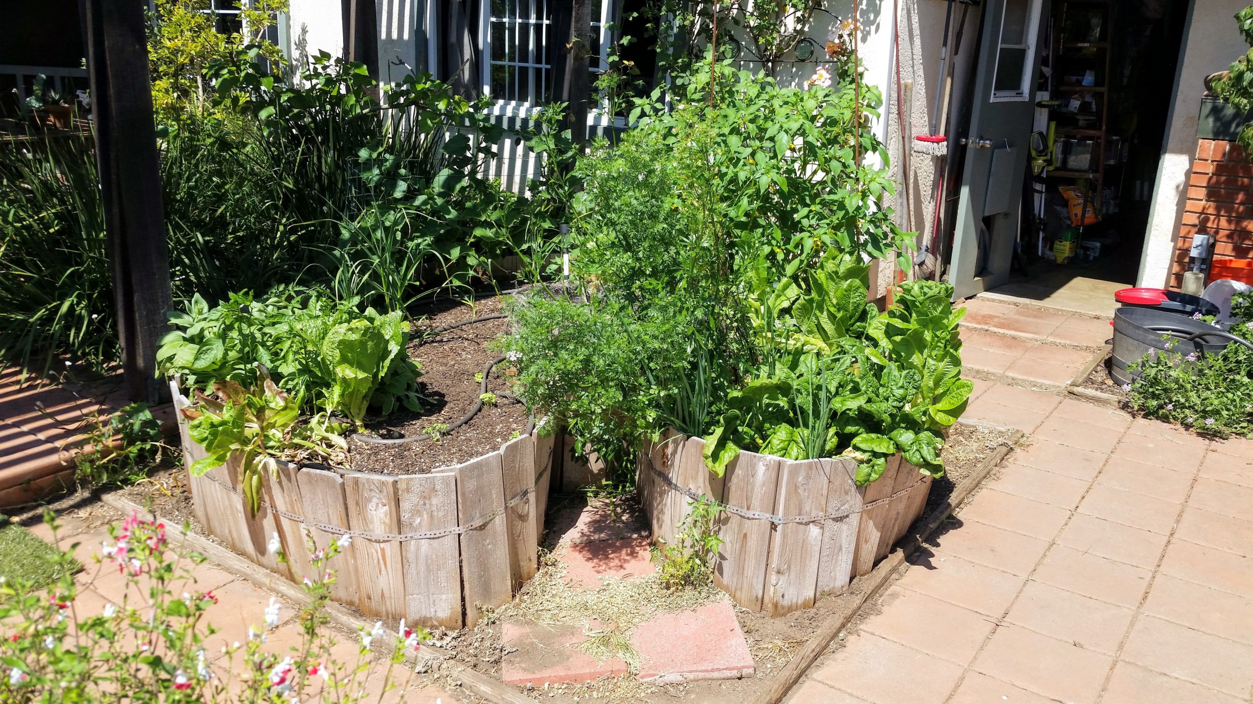 Keyhole Garden Progress – April 23, 2020 | Sage's Acre