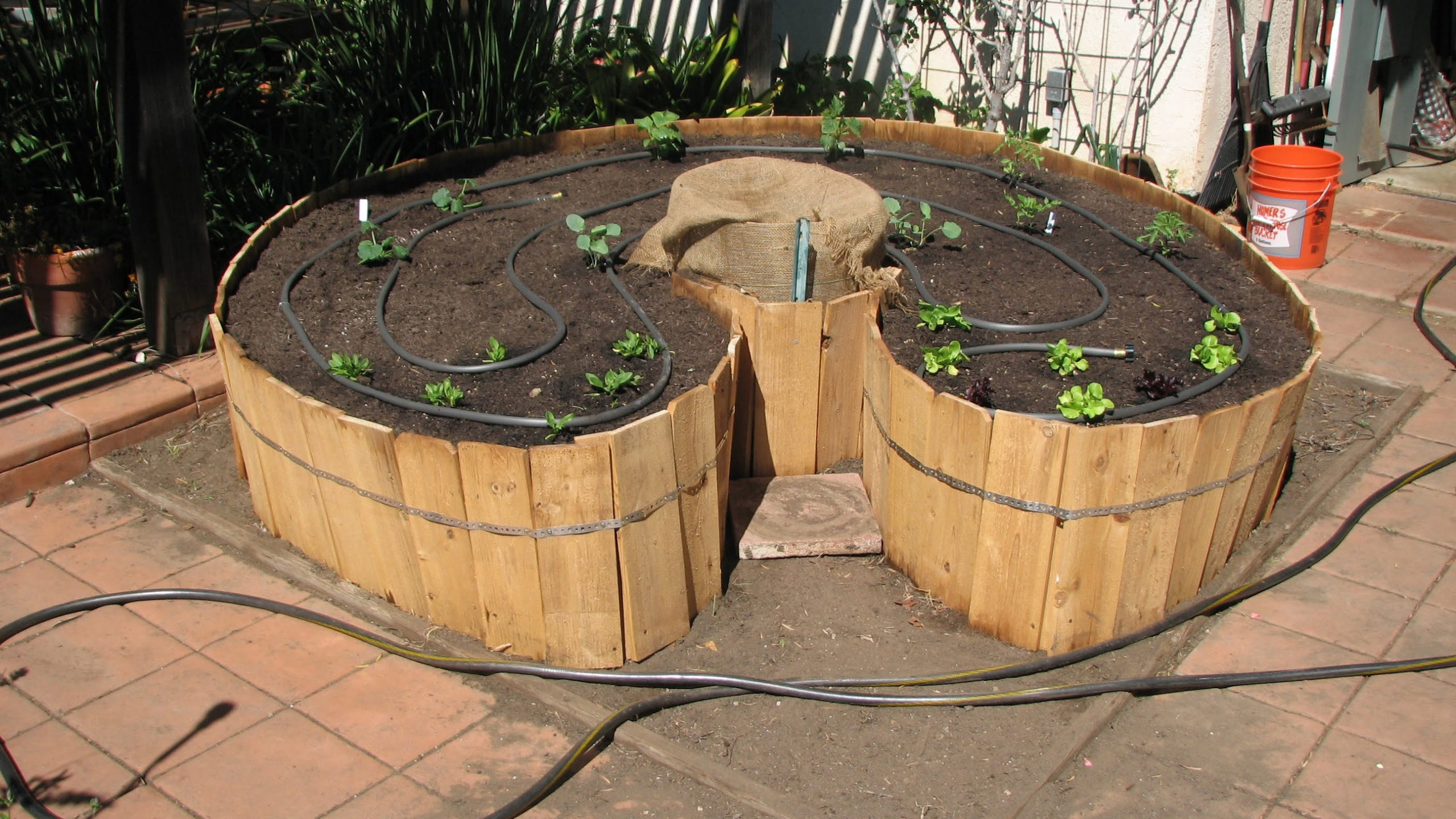 Lessons from the Keyhole Garden | Sage's Acre
