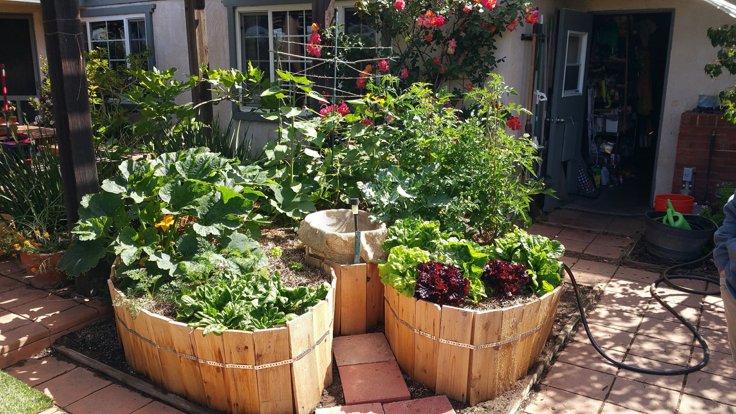 Lessons from the Keyhole Garden | Sage's Acre | Suburban Homestead ...