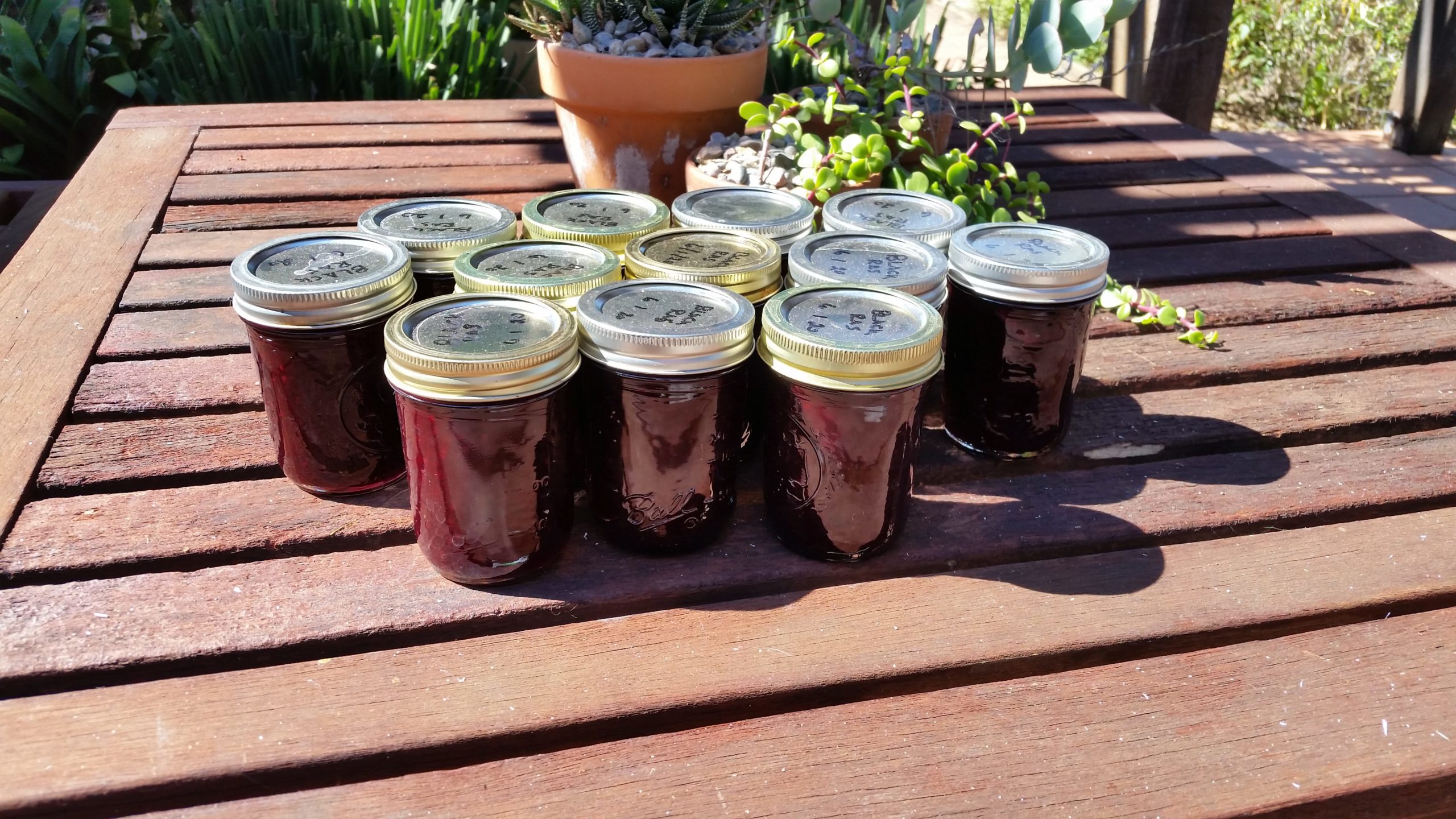 Blackberry Jam Class of 2020 | Sage's Acre