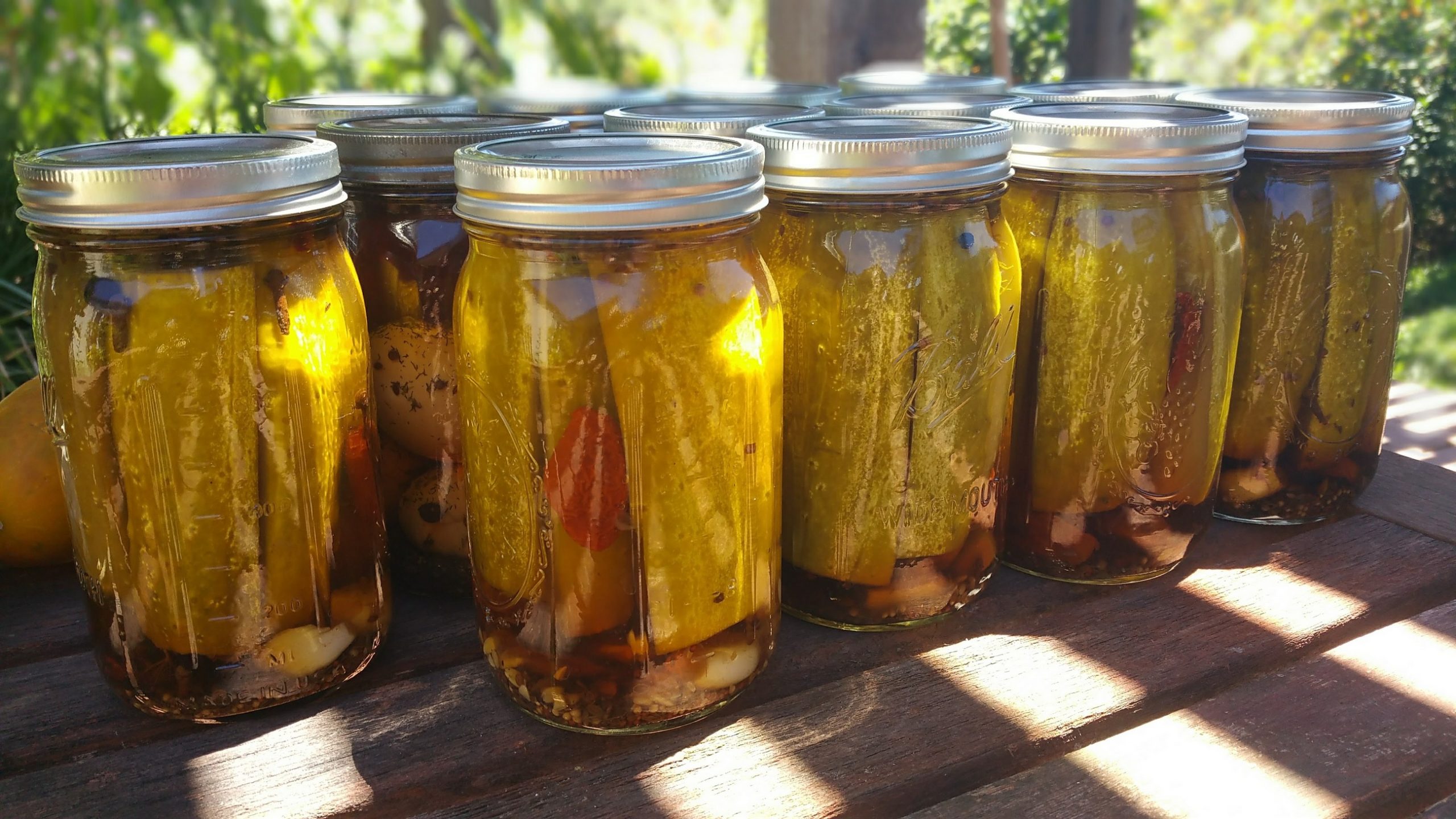 How To Make Old Fashioned Summer Pickles | Sage's Acre
