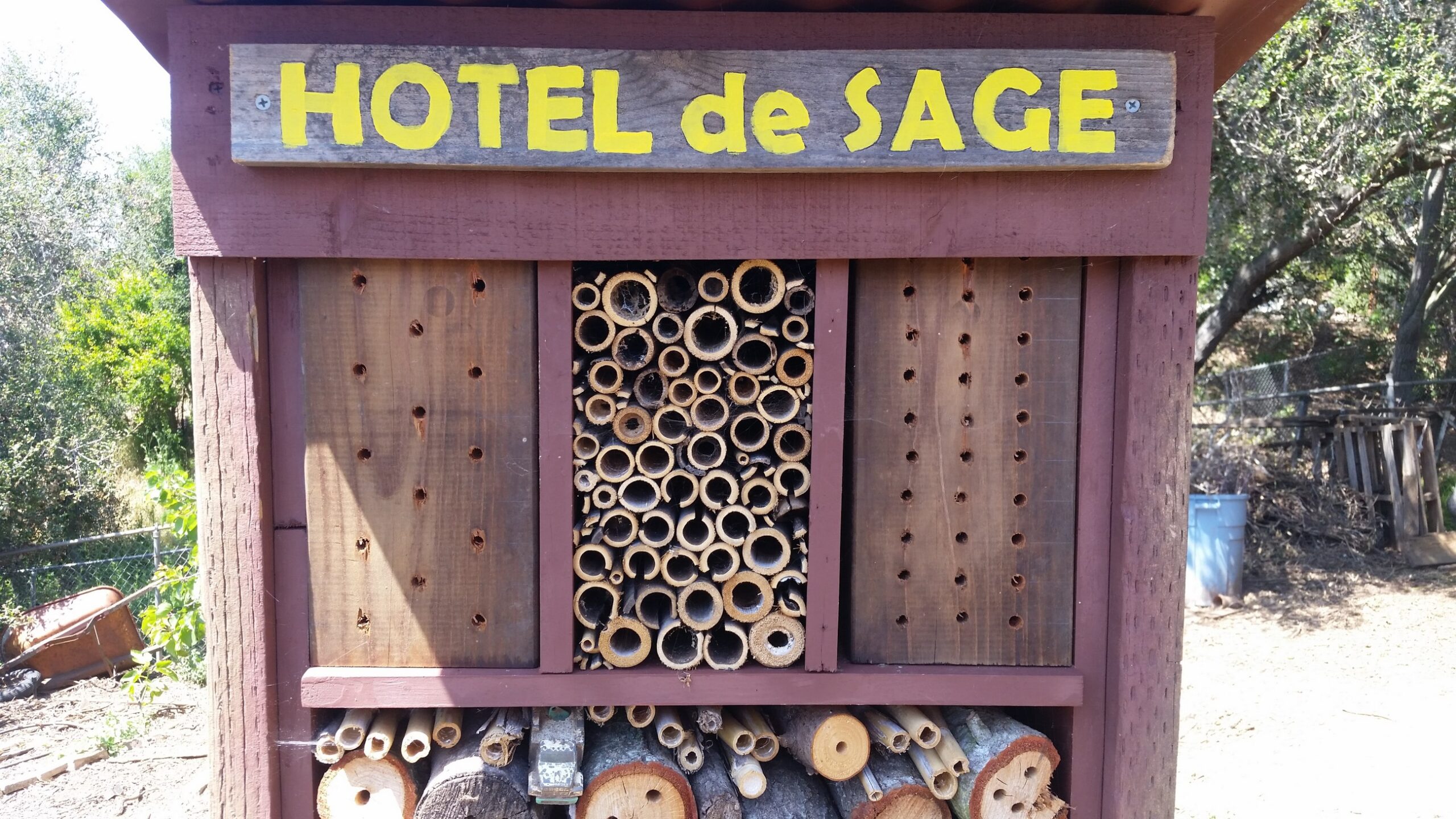 Want to Help Native Bees? Here's How to Build a Bee Hotel!
