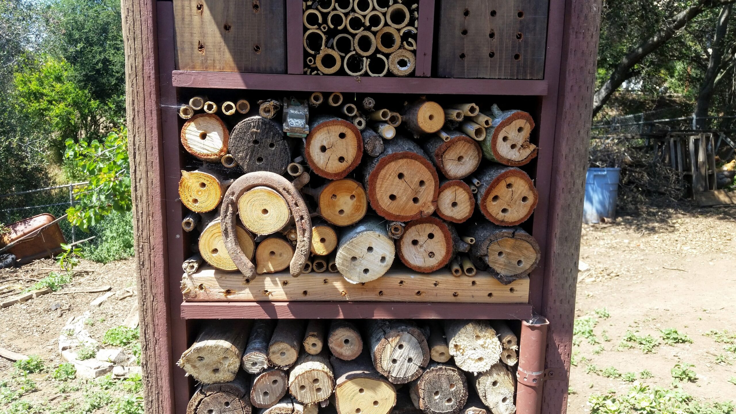 How to Build a Bee Hotel | Sage's Acre