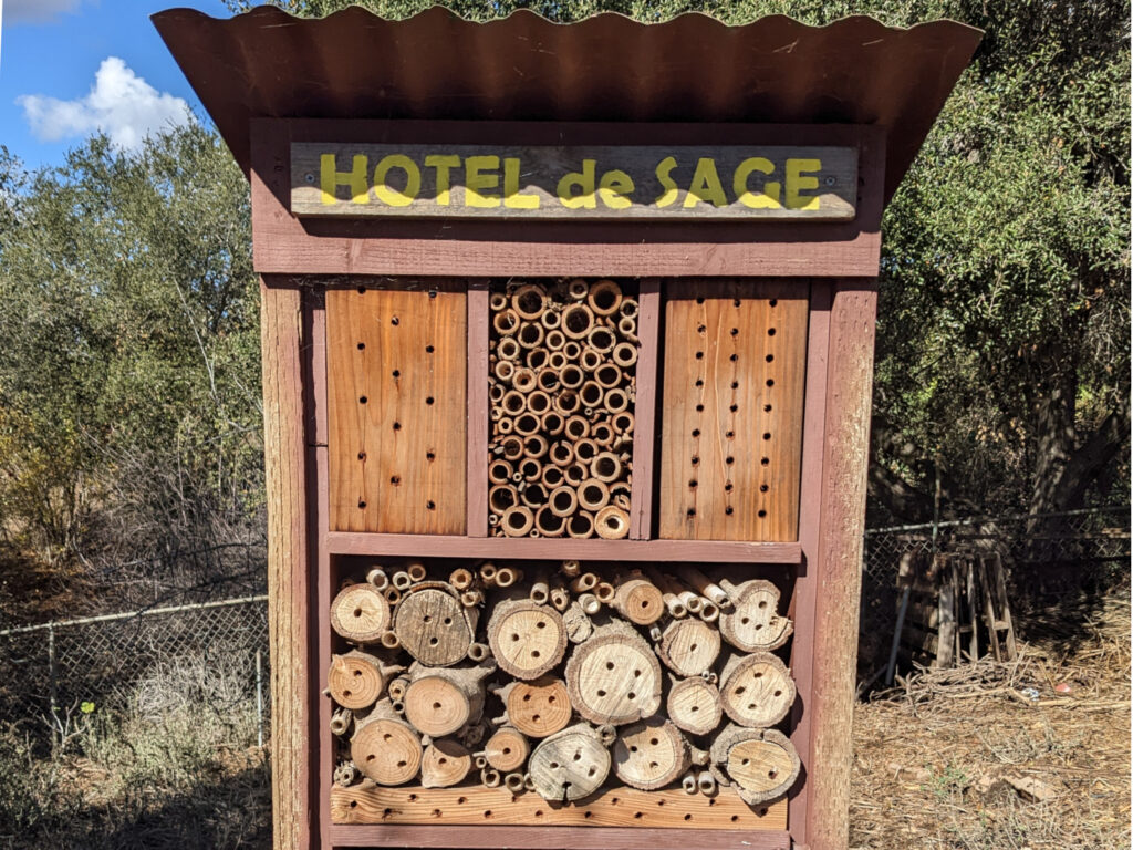 How to Build a Bee Hotel | Sage's Acre