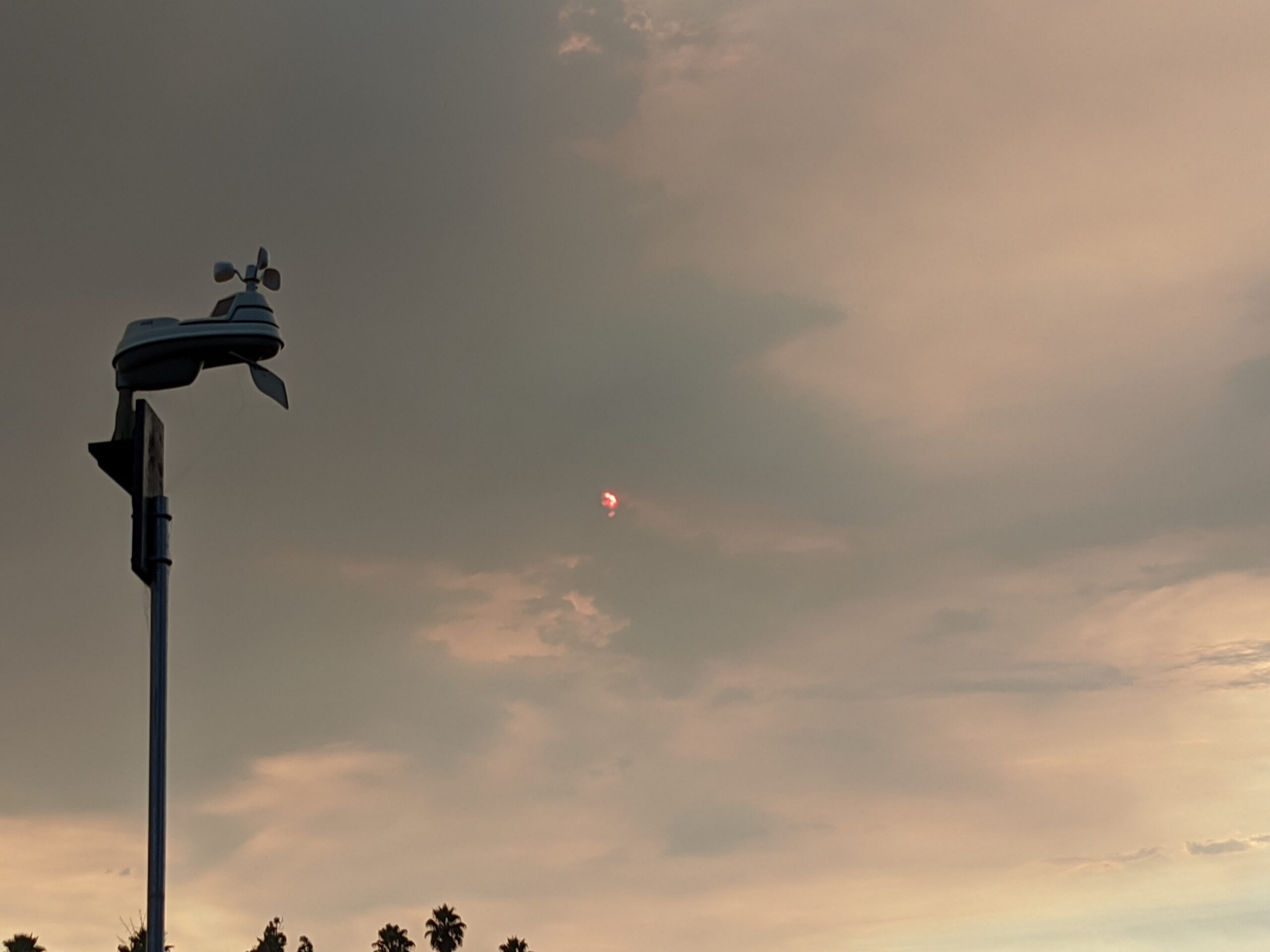 Smoky September Sun | Sage's Acre