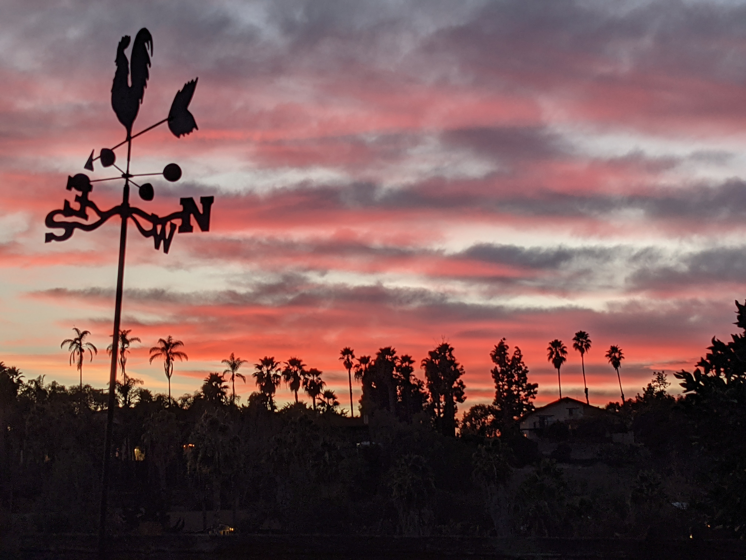 Last Sunset of 2020 | Sage's Acre