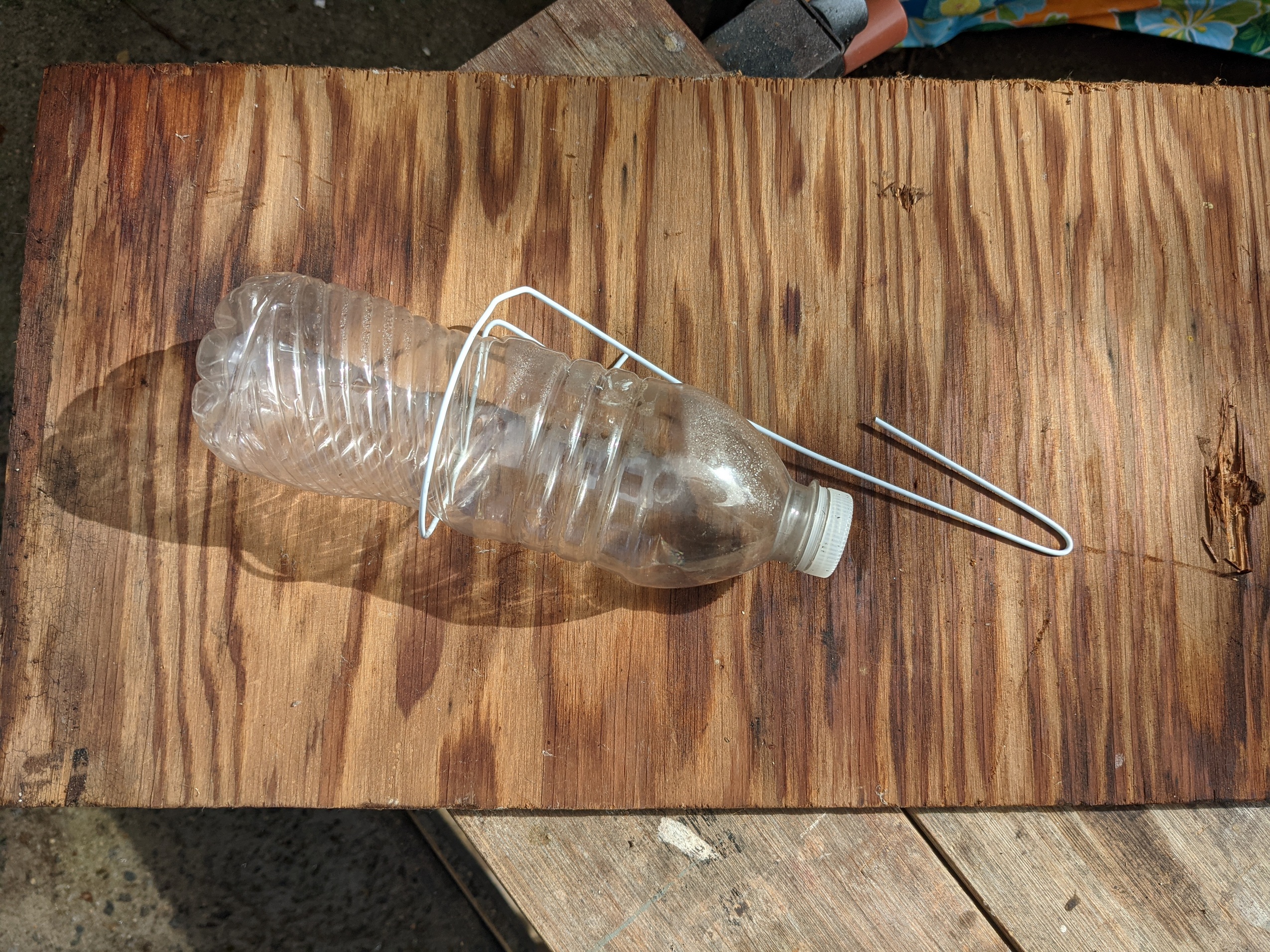 Garden Hack: DIY Water Bottle Drip Watering System | Sage's Acre