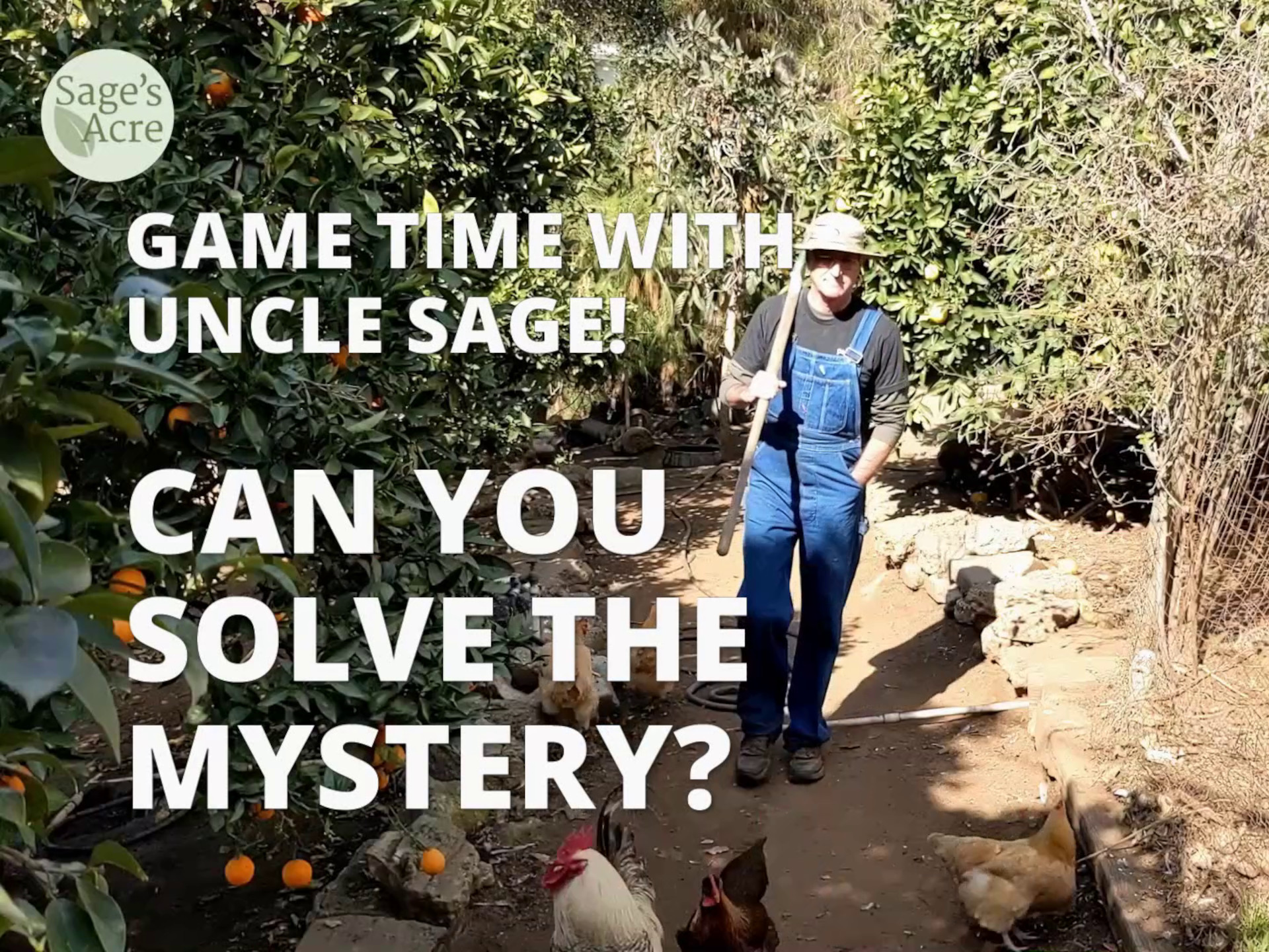 Video: Mystery Chicken | Sage's Acre