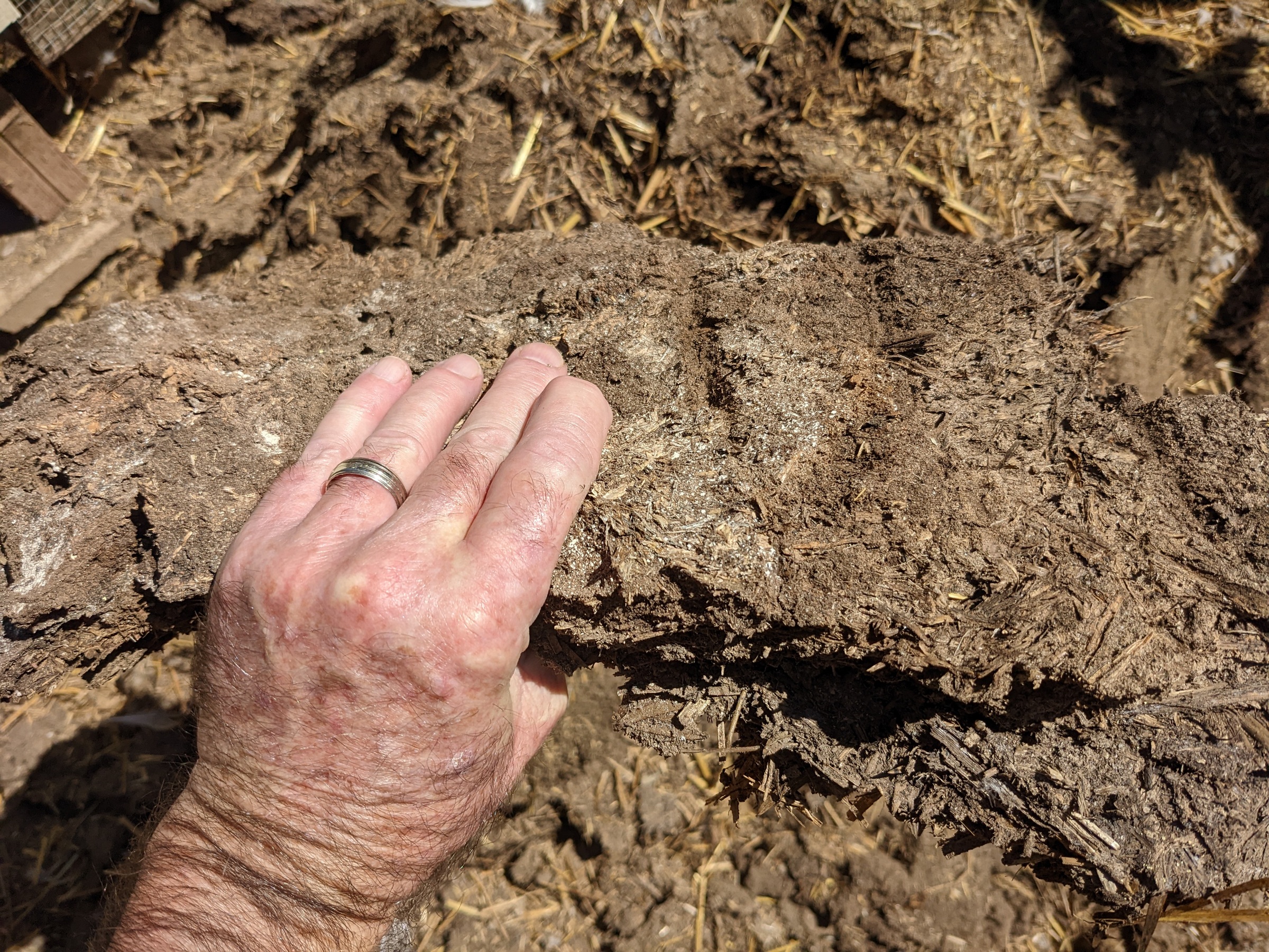 That’s Good Compost | Sage's Acre