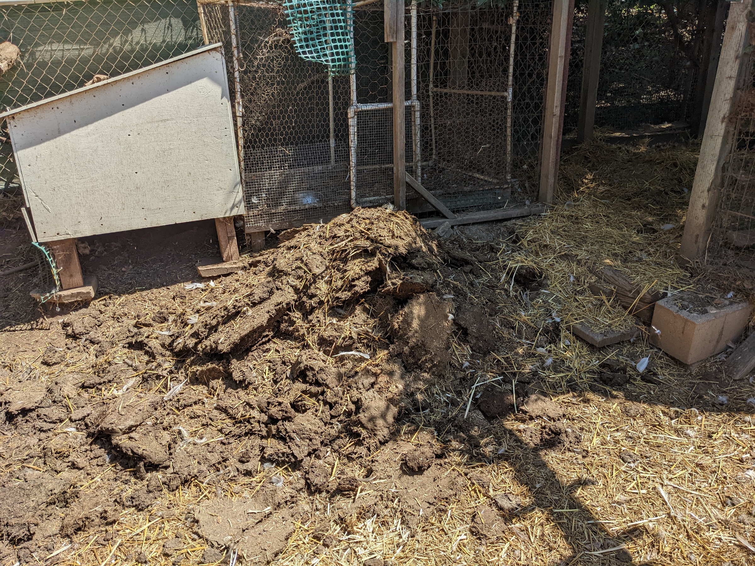 That’s Good Compost | Sage's Acre