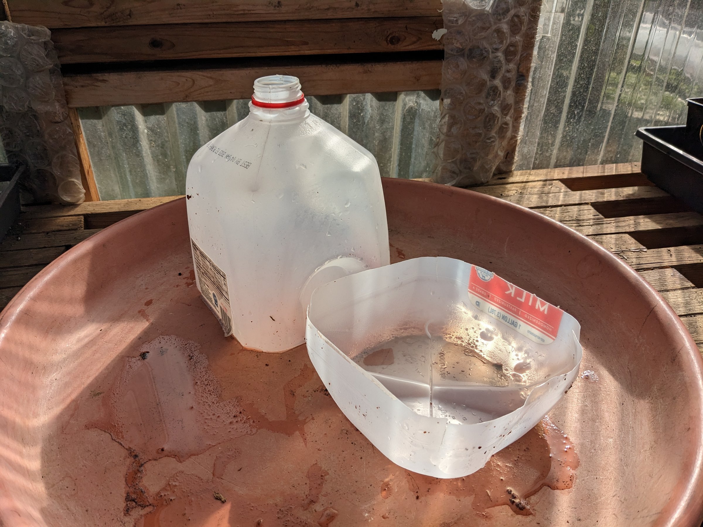 Simple, Bulletproof Plant Propagation | Sage's Acre