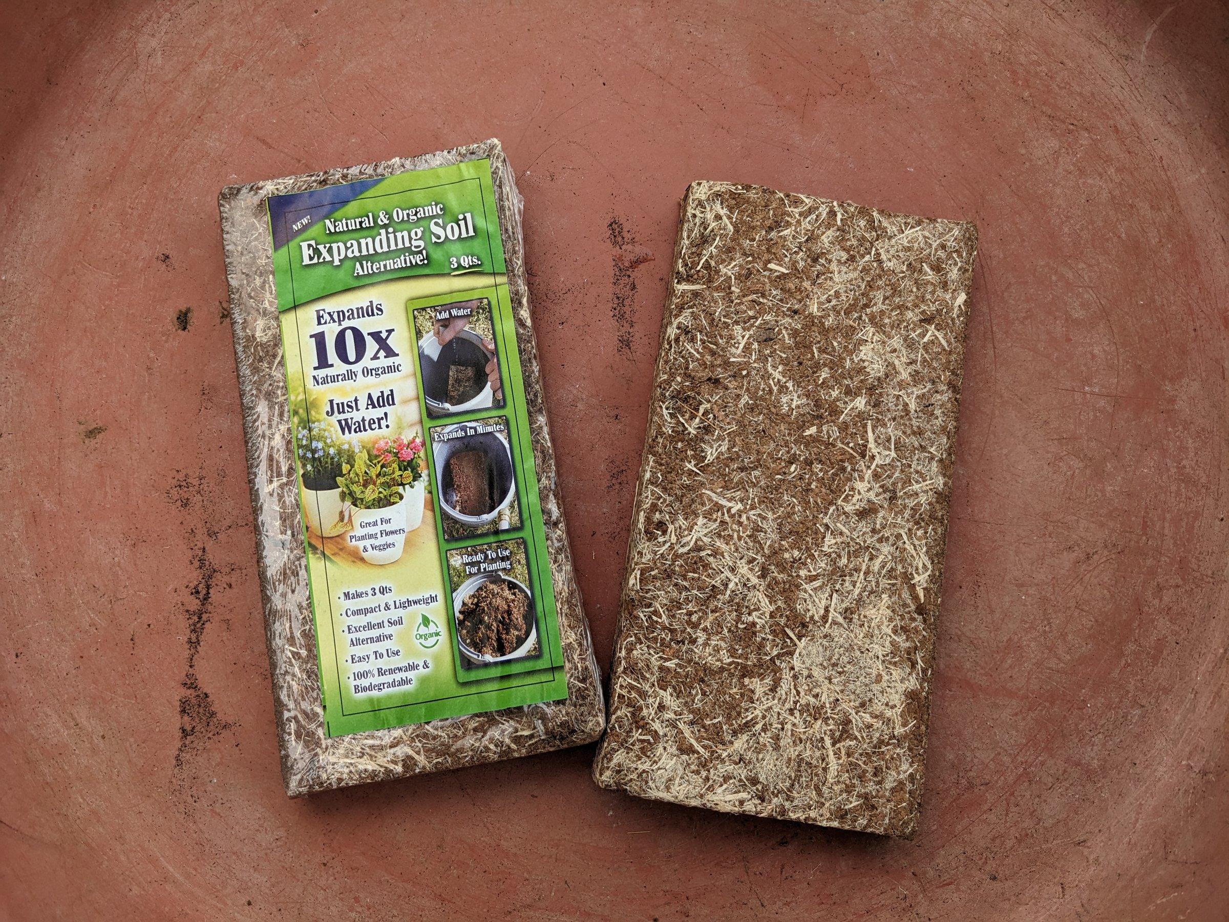 Simple, Bulletproof Plant Propagation | Sage's Acre