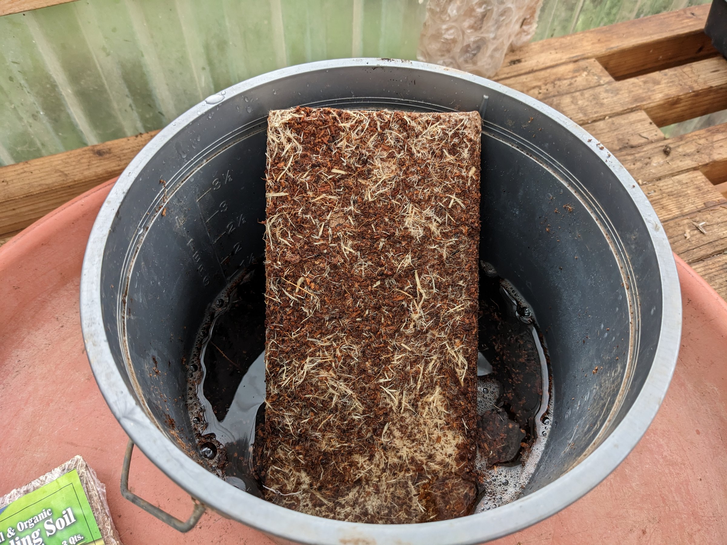 Simple, Bulletproof Plant Propagation | Sage's Acre