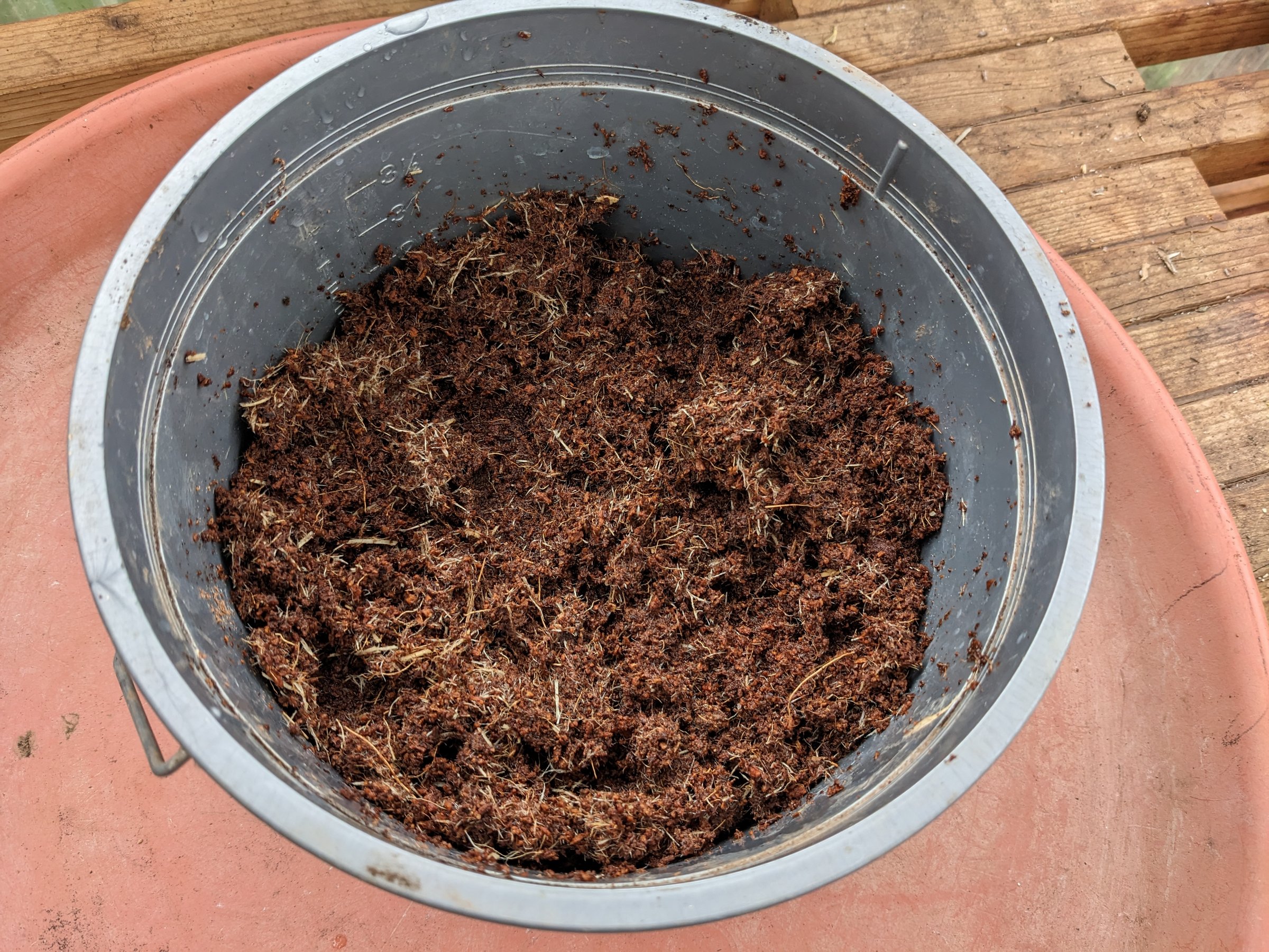 Simple, Bulletproof Plant Propagation | Sage's Acre