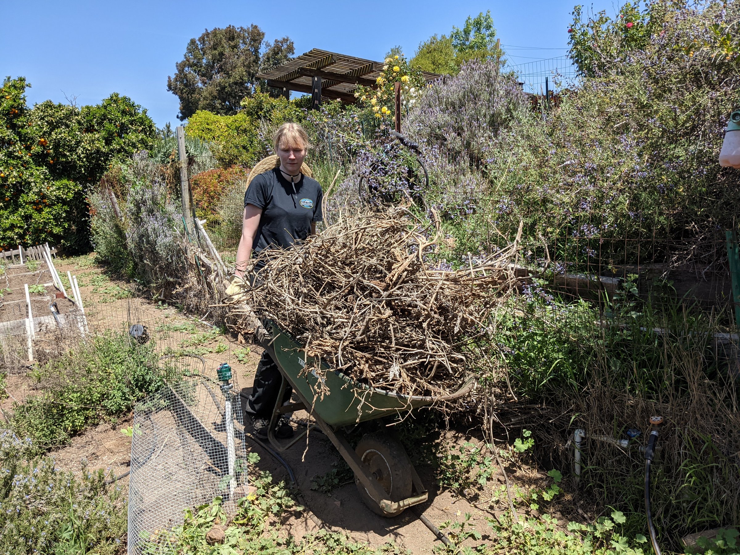 How to Build a “Lasagna” Garden | Sage's Acre