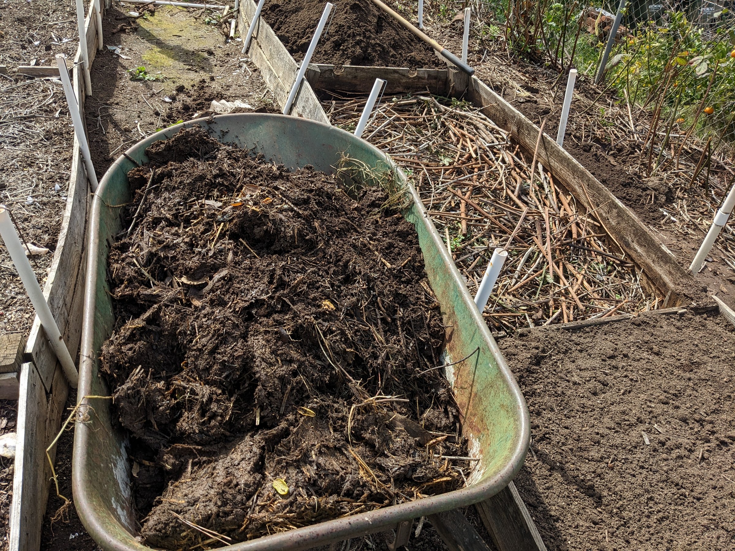 How to Build a “Lasagna” Garden | Sage's Acre