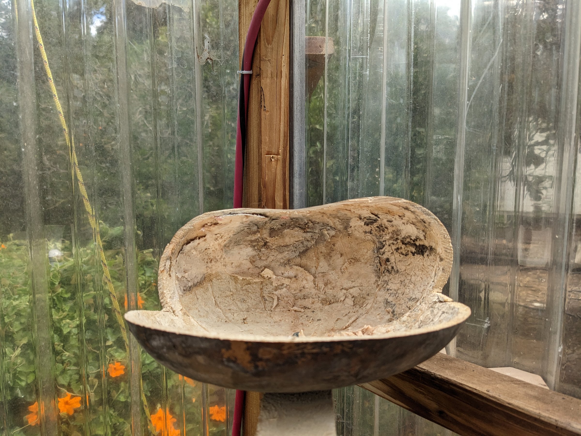 Make a Speaker Holder From a Gourd | Sage's Acre