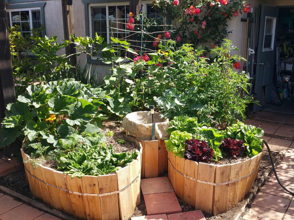 How to Grow Vegetables in a Small Space | Sage's Acre