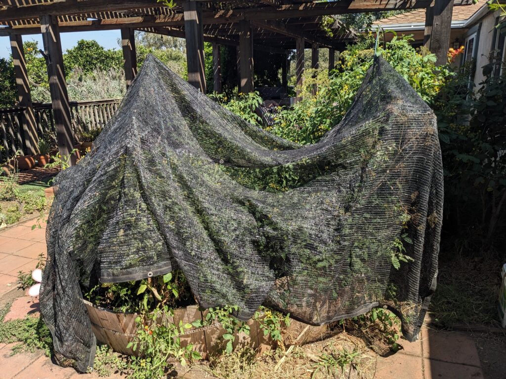 Garden Hack: Made in the Shade | Sage's Acre