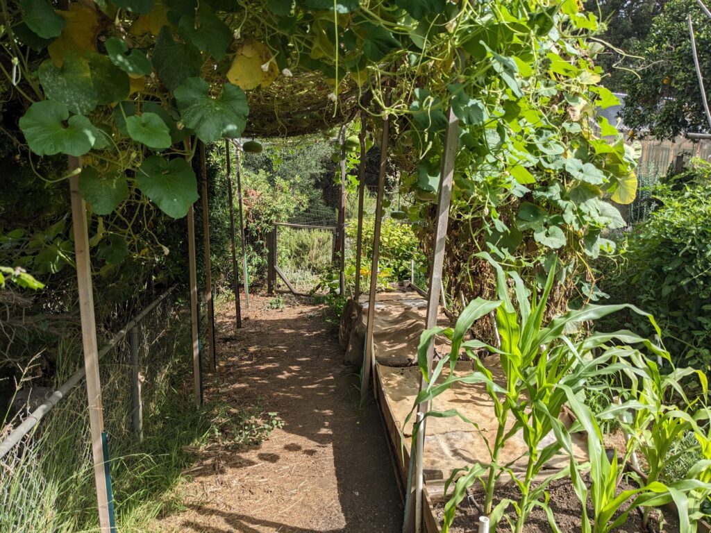 Garden Hack: Made in the Shade | Sage's Acre