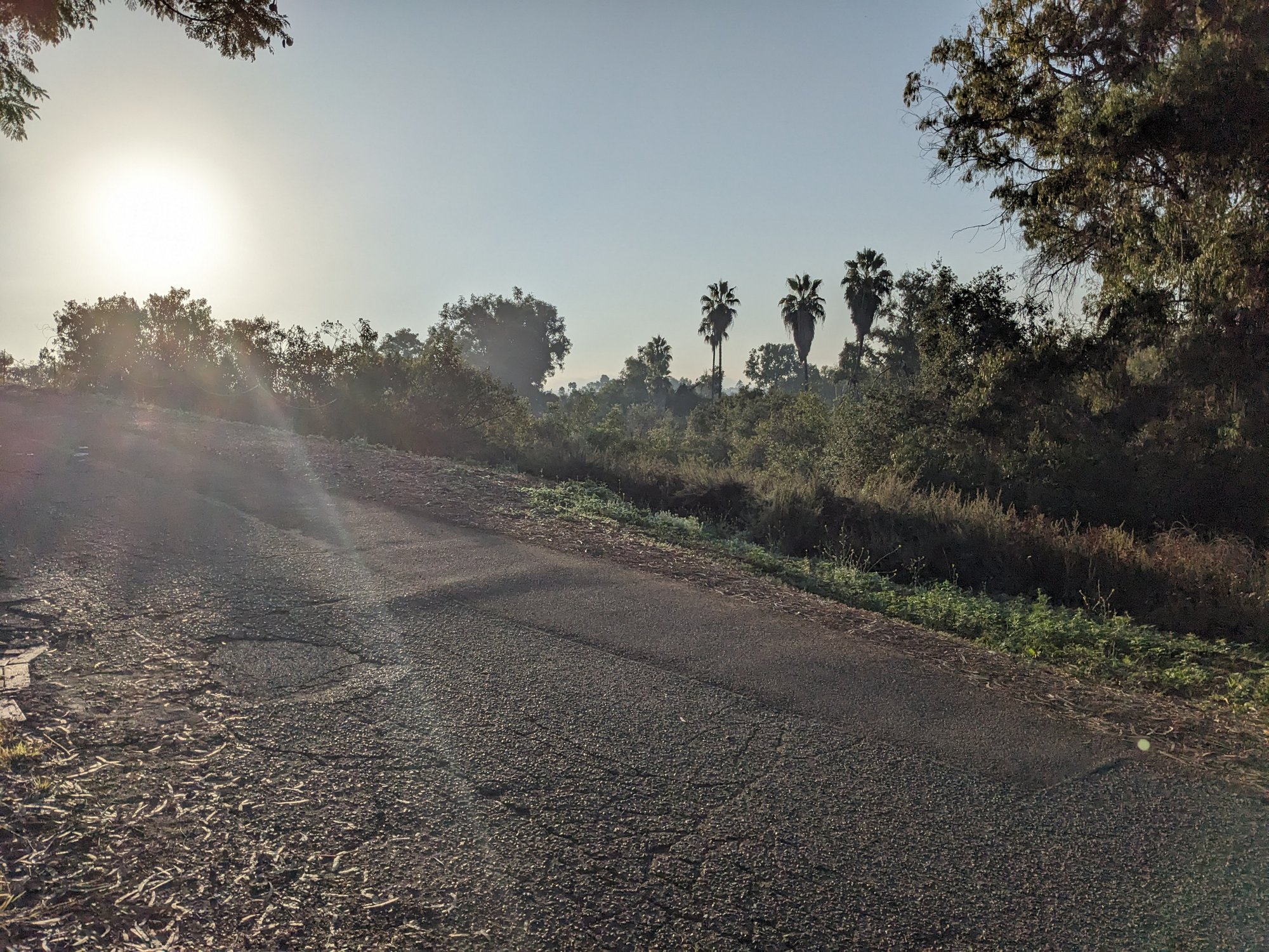 First Sunrise of Autumn 2023 | Sage's Acre