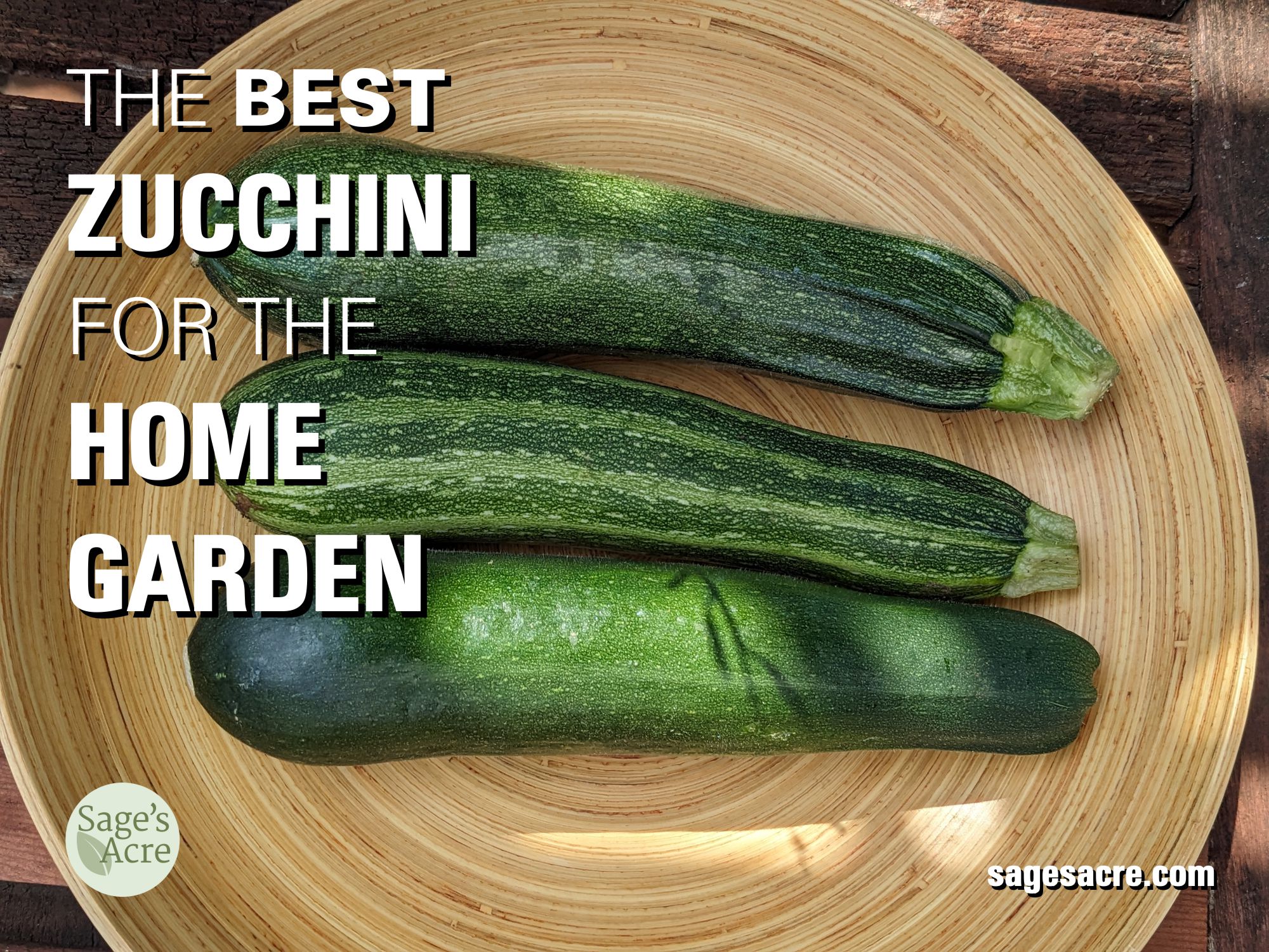 The best zucchini varieties for home gardens | Sage's Acre