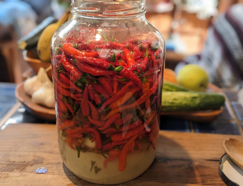 Batch 22 Hot Sauce – Entry 5 | Sage's Acre