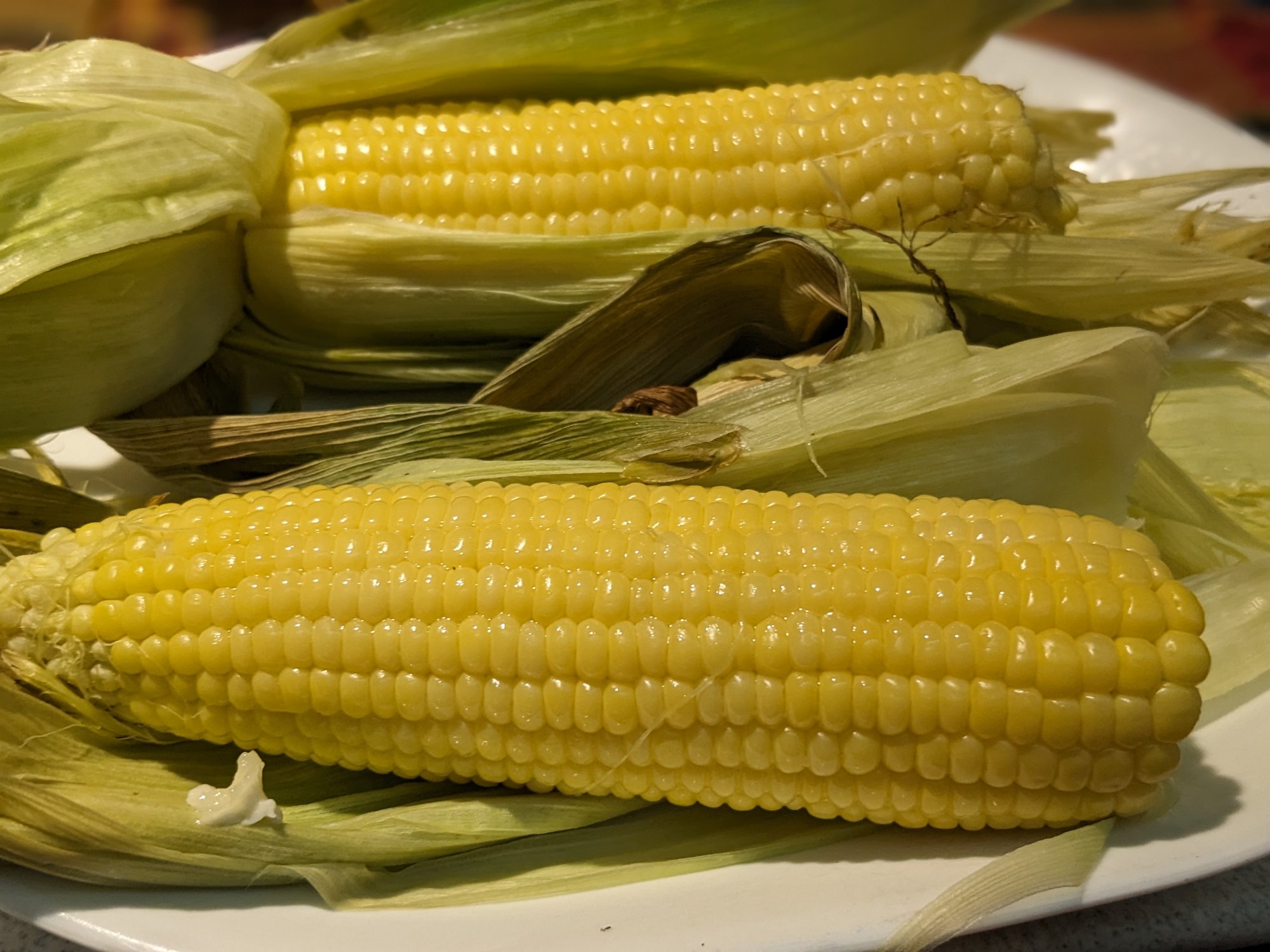 Sweet Corn and Summer’s Last Hurrah | Sage's Acre