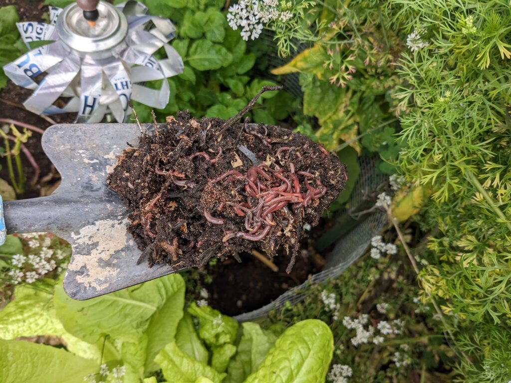 How to Make an Easy Compost Turning Tool | Sage's Acre