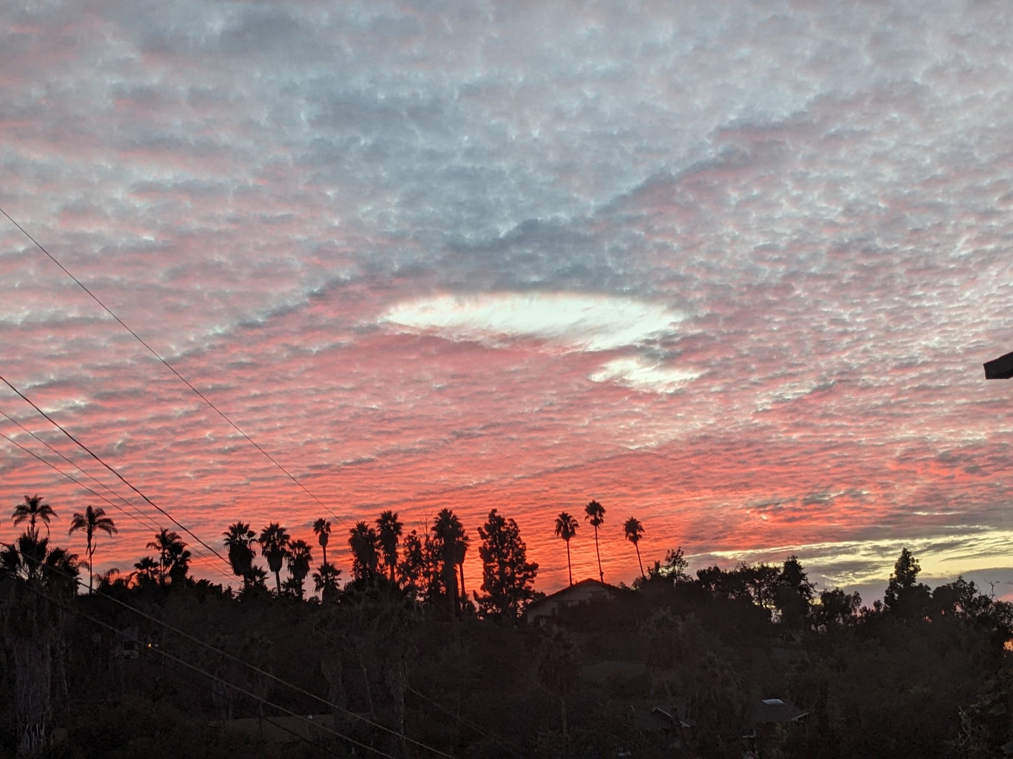 An October Sunset With a Starship | Sage's Acre