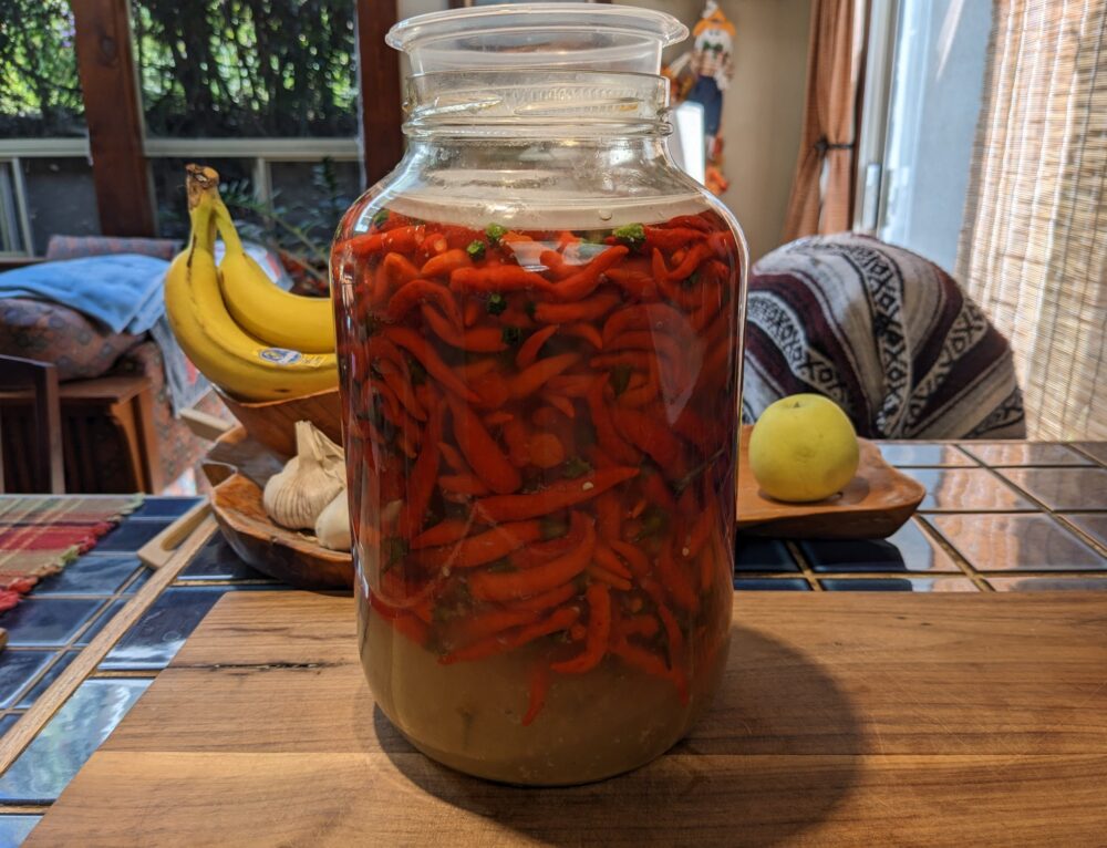 Batch 22 Hot Sauce – Entry 5 | Sage's Acre