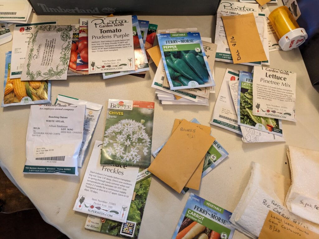 Garden Season Prep: Sorting Saved Seeds | Sage's Acre