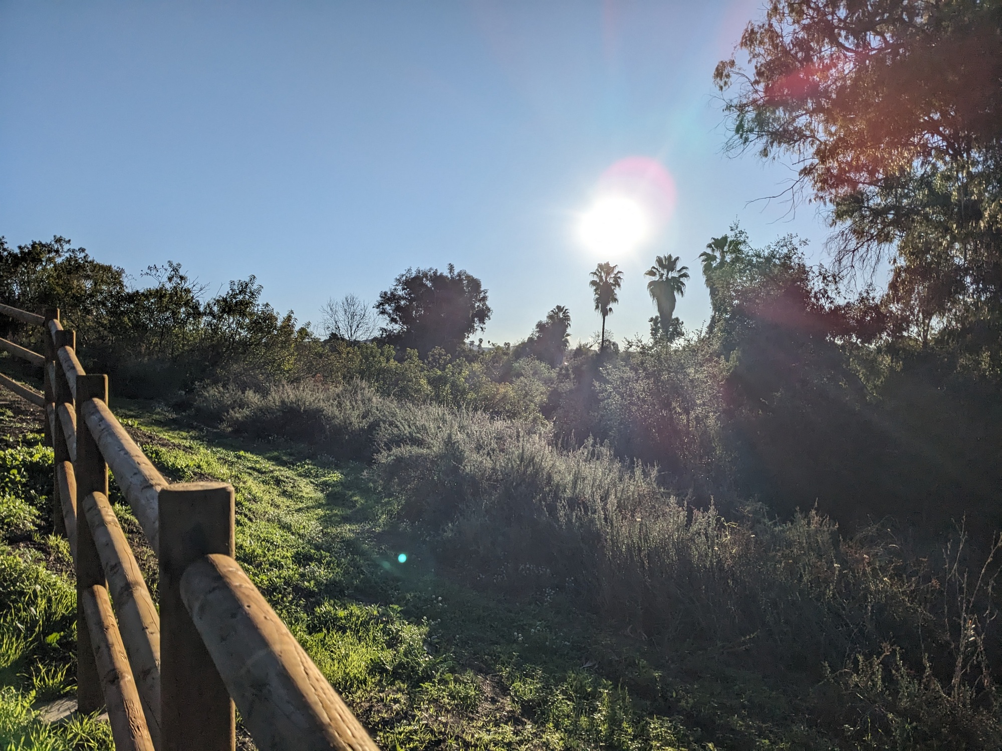 A Splendid Sunday Sunrise in San Diego | Sage's Acre