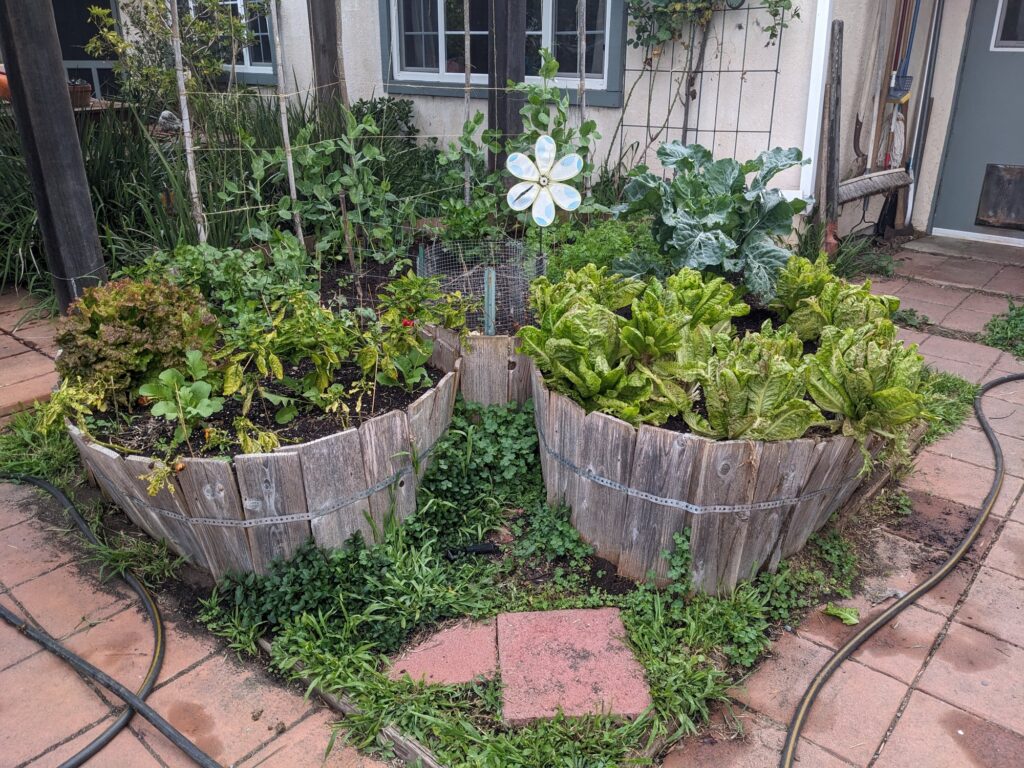 Spring Keyhole Garden Transition | Sage's Acre