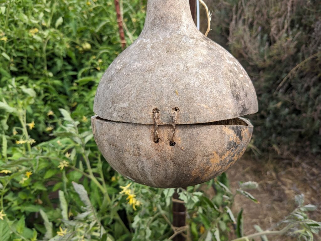 Make a Garden Twine Dispenser from a Gourd | Sage's Acre
