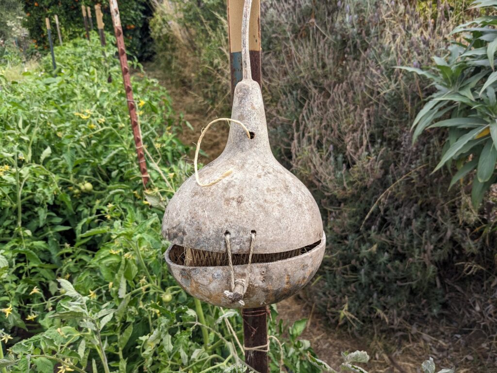 Make a Garden Twine Dispenser from a Gourd | Sage's Acre