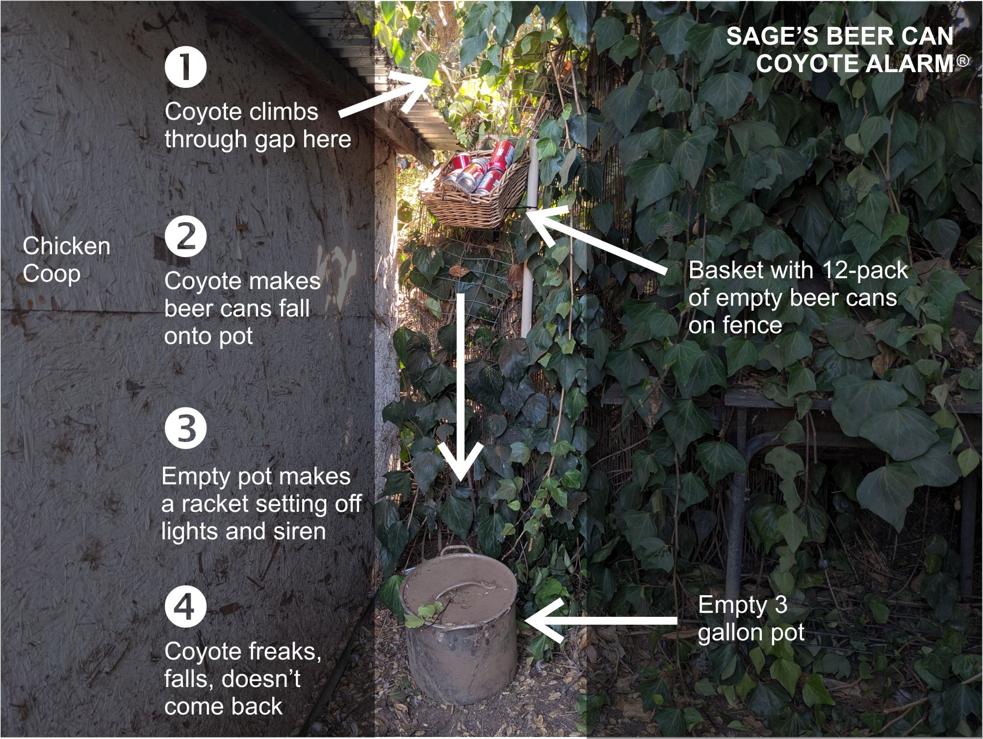 Sage’s Patented Beer Can Coyote Alarm | Sage's Acre