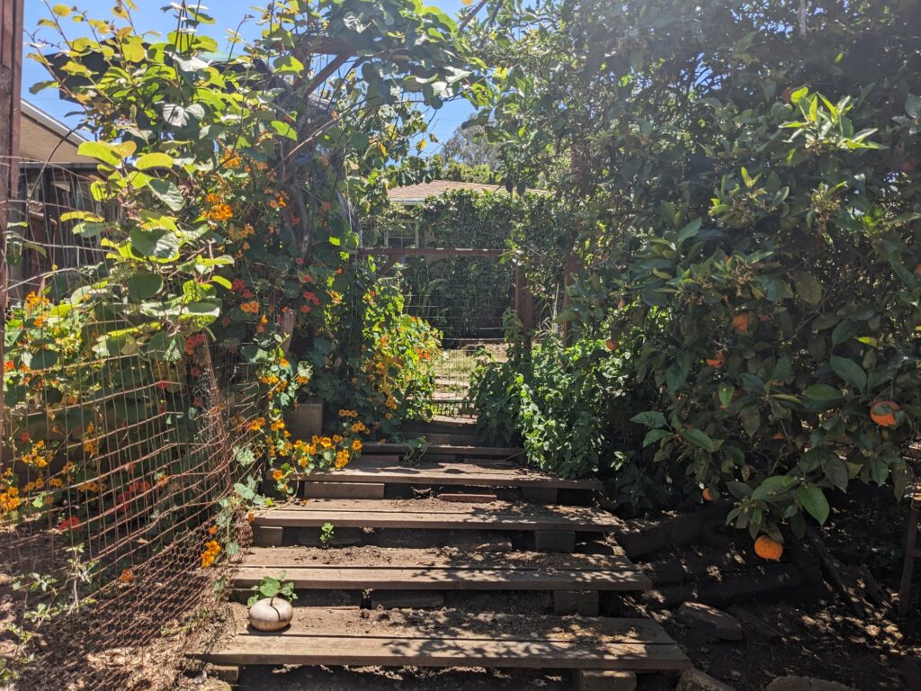 A Practical Guide to Designing Garden Rooms | Sage's Acre