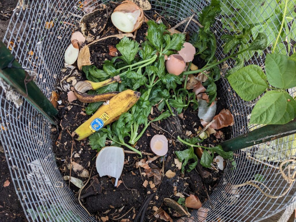Can You Compost That? The Ultimate Guide | Sage's Acre