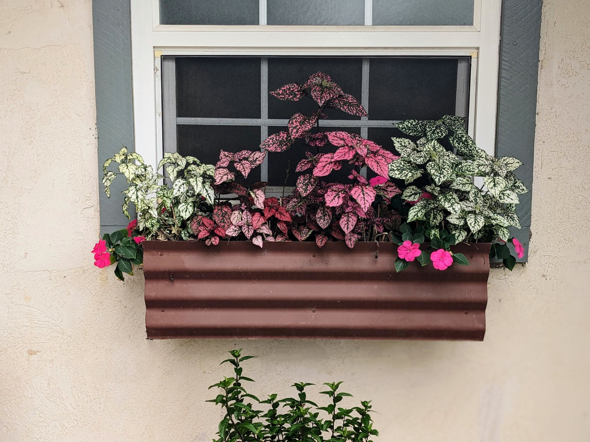 How to Make a Simple Window Flower Box | Sage's Acre