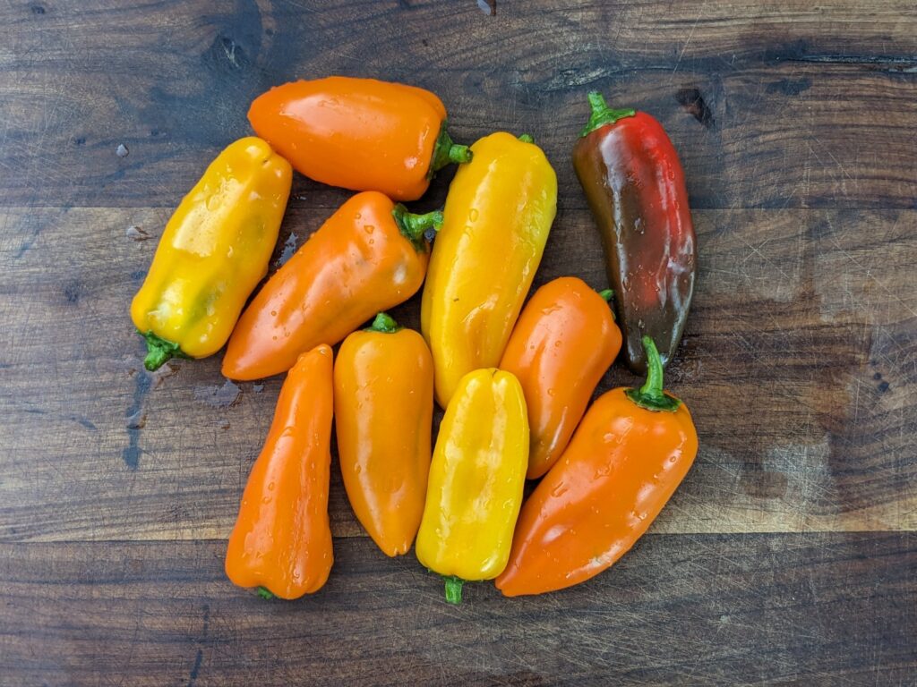 The 5 Best Sweet Peppers to Grow: High Yield, Great Flavor