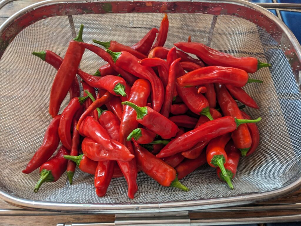 How To: Homemade Fermented Hot Sauce Frank's & Tabasco-Style
